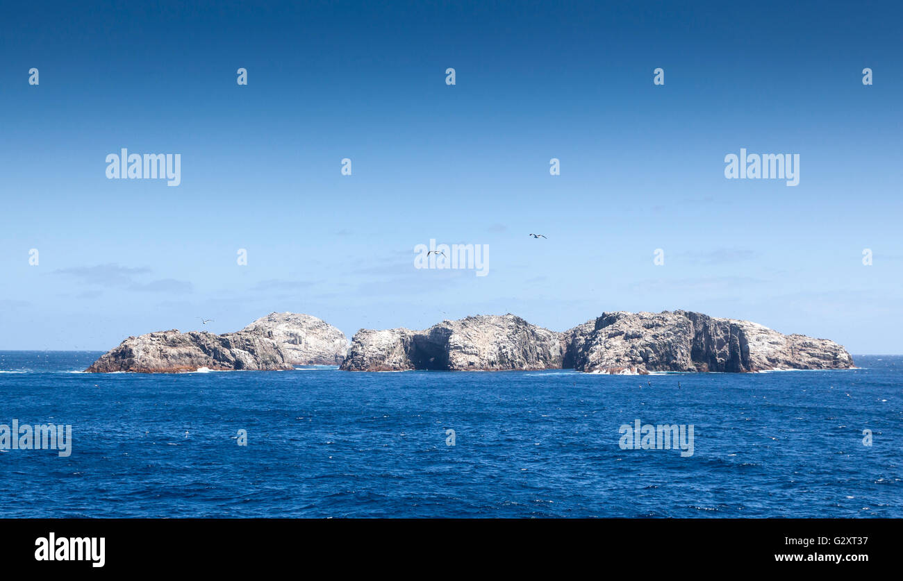 Sub antarctic island hi-res stock photography and images - Alamy