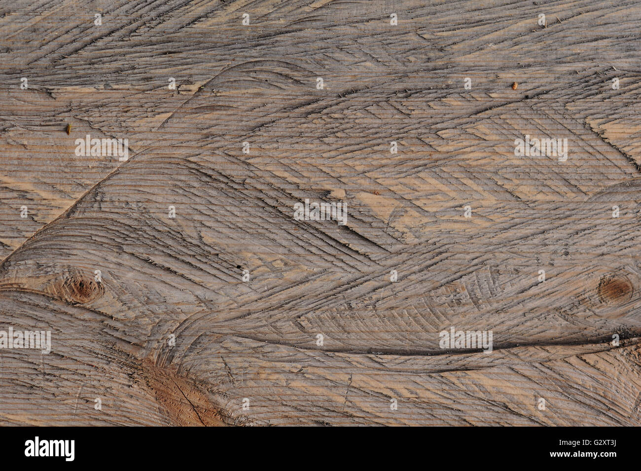 close-up background of wooden cut tree texture Stock Photo - Alamy