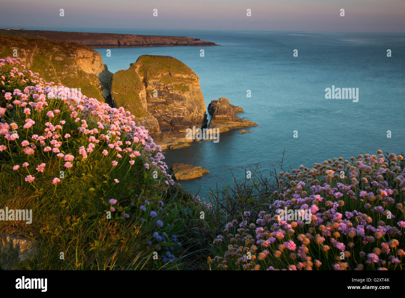 Sunset at South Stack on Anglesey Stock Photo - Alamy