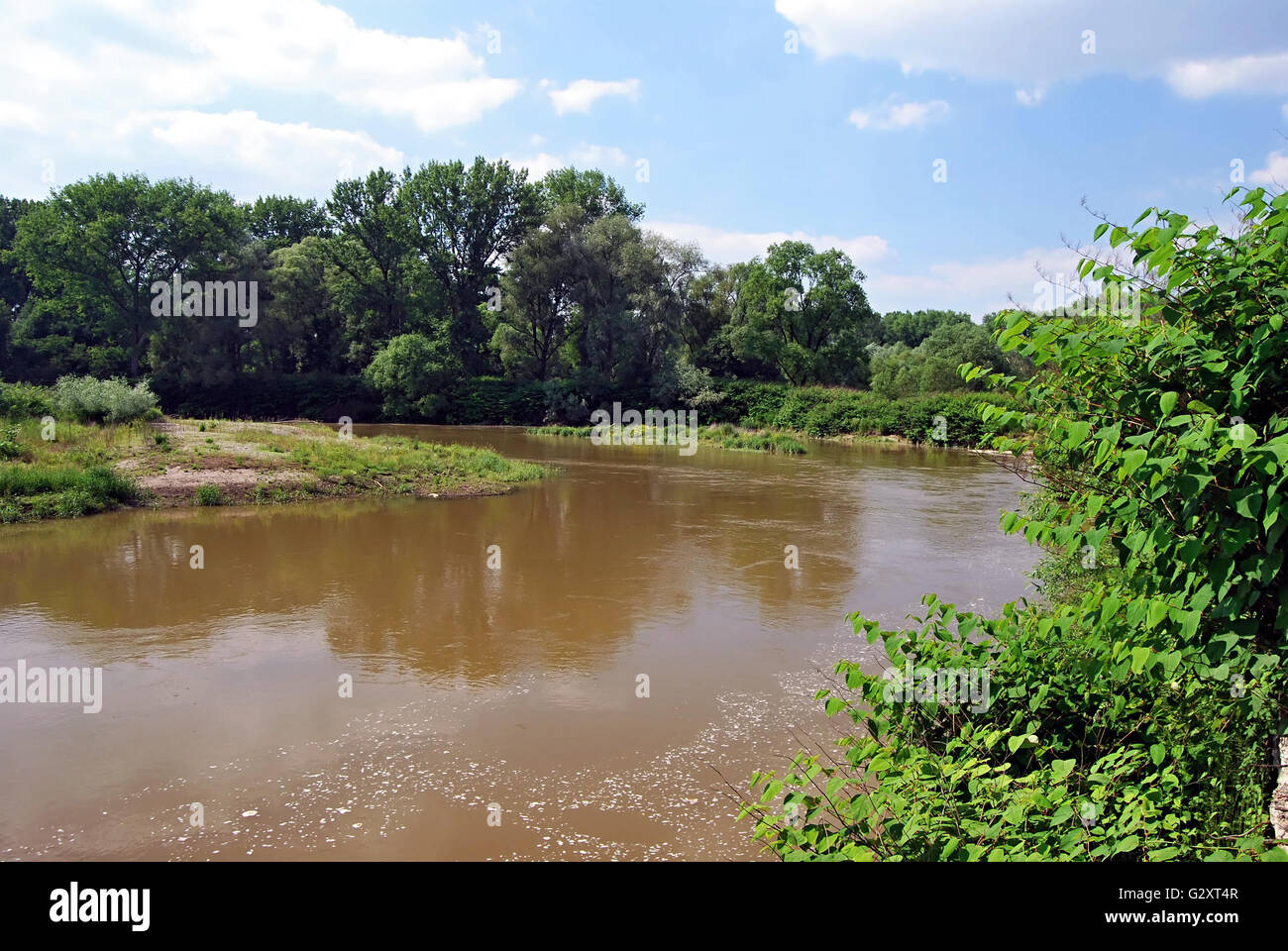 Meander of Odra river with trees on polish-czech boundaries near ...