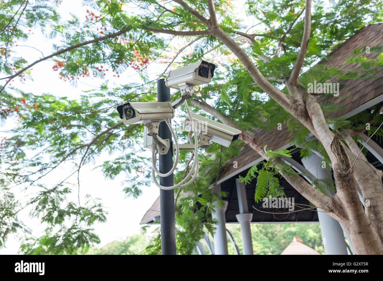 CCTV camera or surveillance operating. CCTV, camera,cctv Stock Photo ...