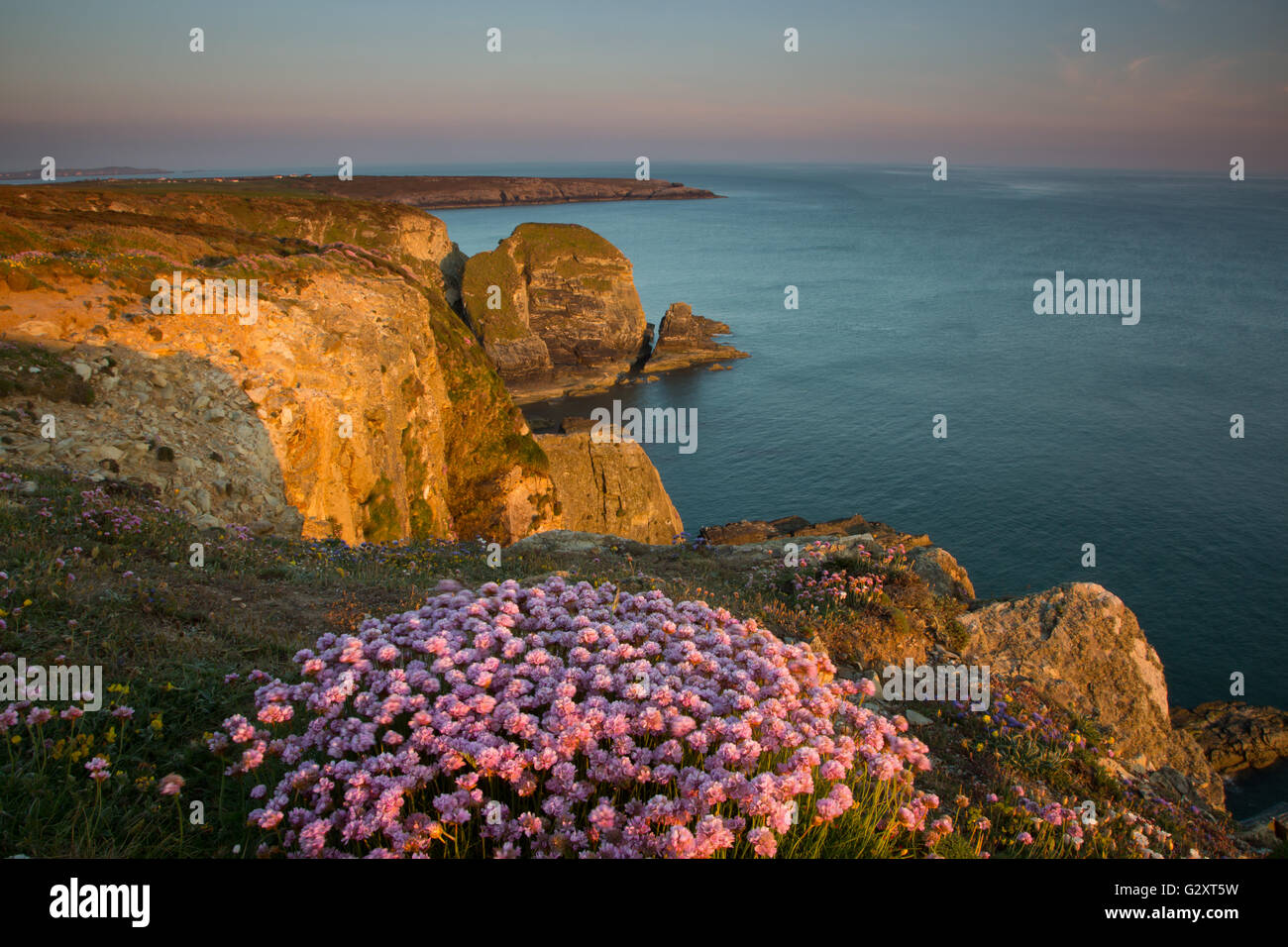South stack anglesey sunset hi-res stock photography and images - Alamy