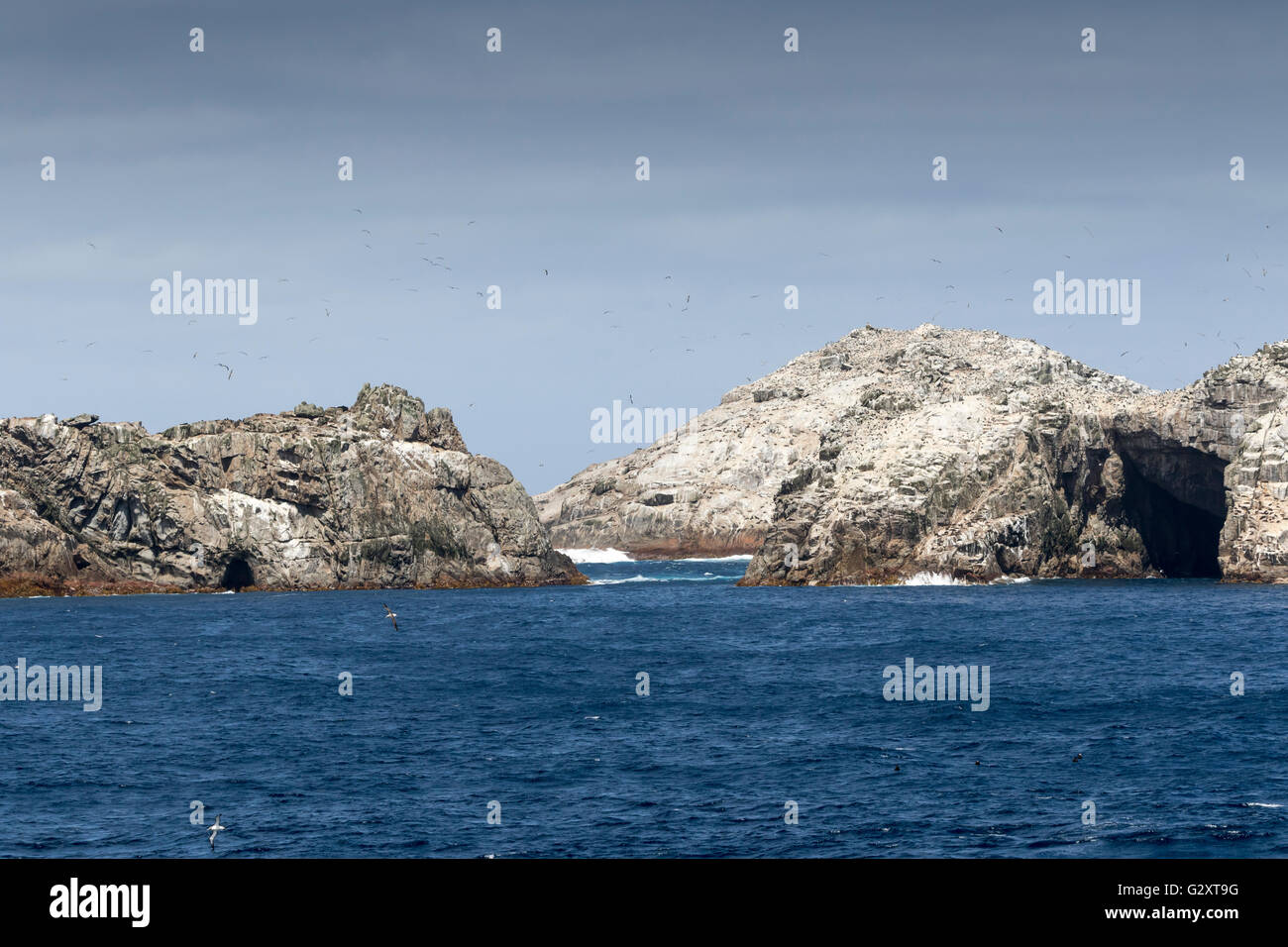 Bounty Island in bright sunlight, New Zealand sub-Antarctic Stock Photo ...