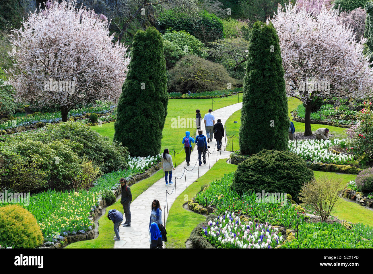 Butchart Gardens in spring, the Sunken Garden Stock Photo - Alamy