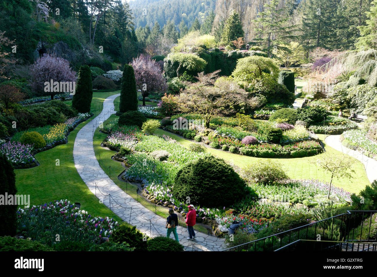 Butchart Gardens in spring, the Sunken Garden Stock Photo - Alamy