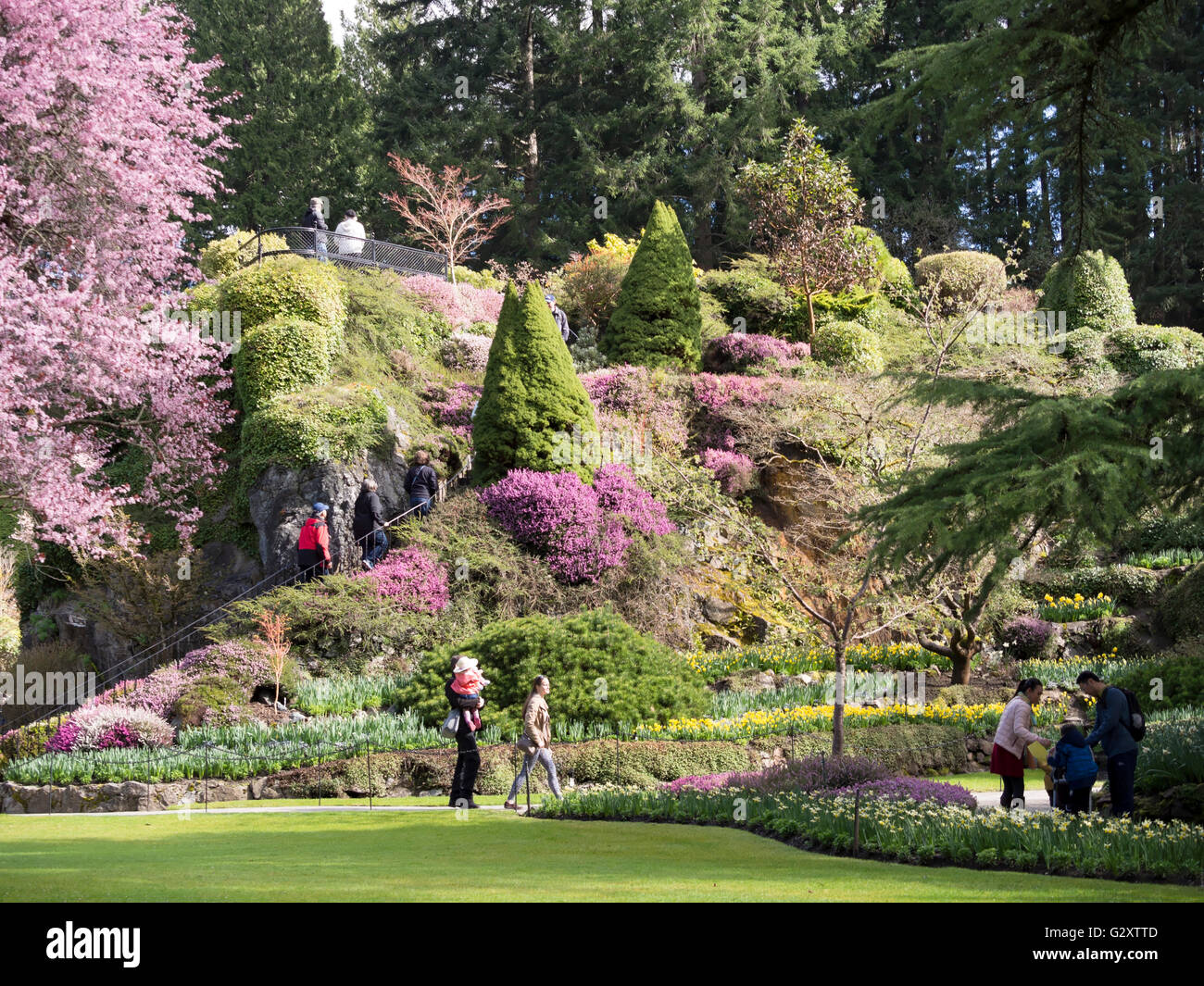 Butchart Gardens in spring, the Sunken Garden Stock Photo - Alamy