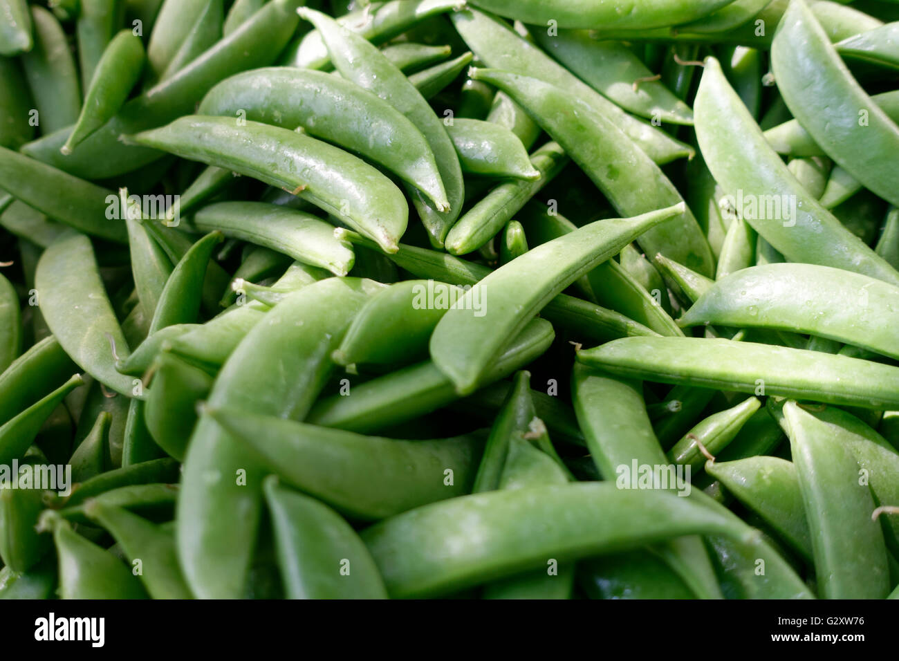 Sugar snap peas Stock Photo - Alamy