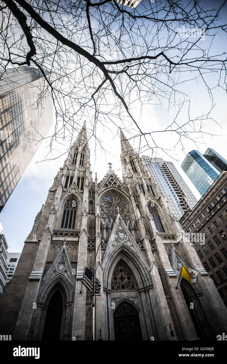 St Patricks Cathedral in downtown Manhattan, New York City Stock Photo ...
