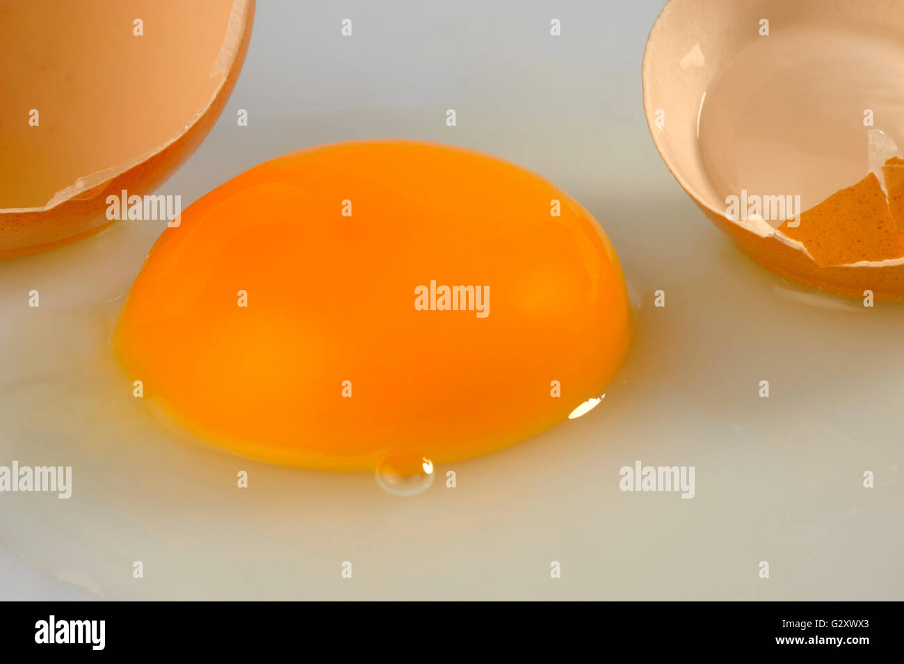 broken eggs photographed in studio to illustrate the fragility or ...