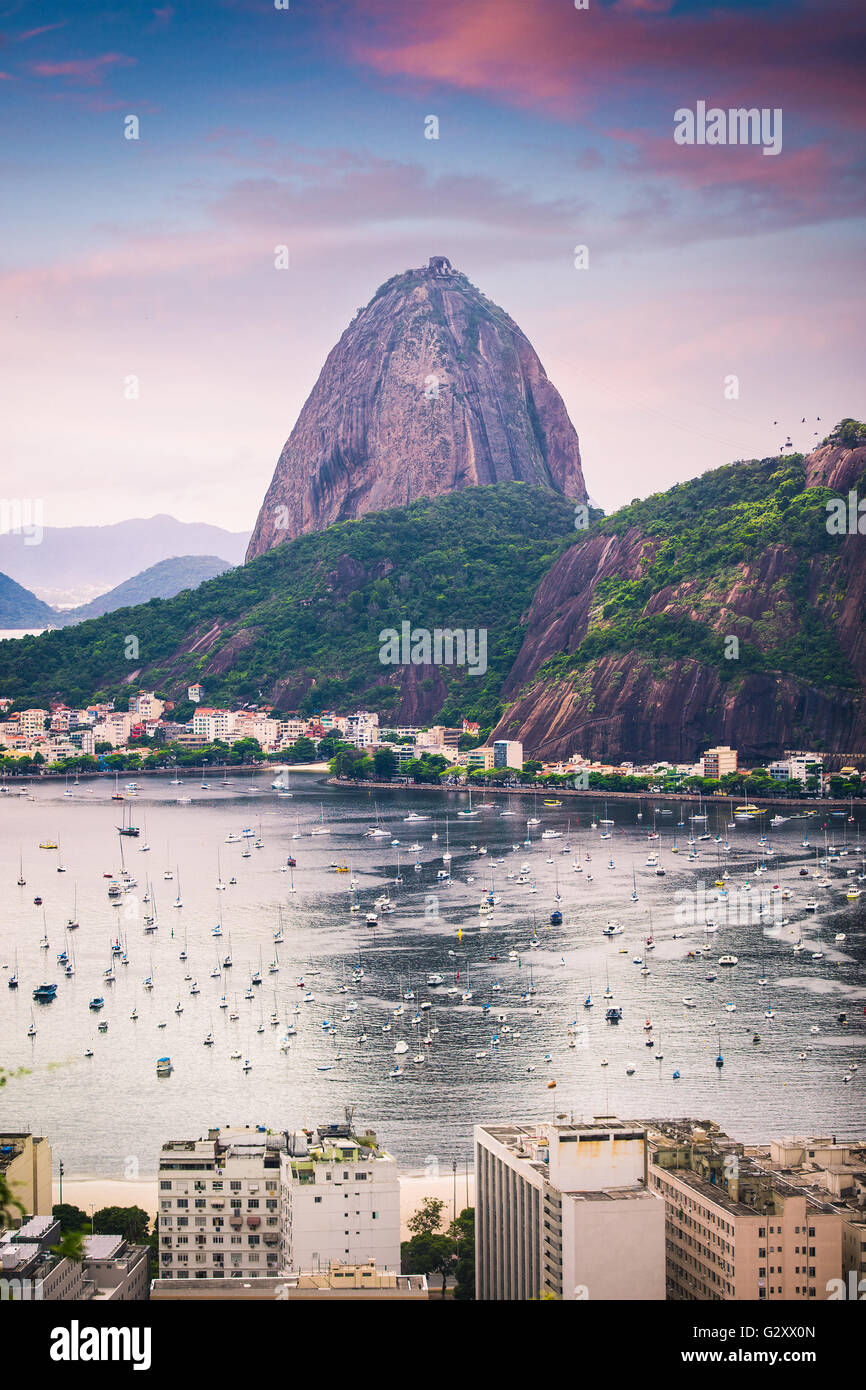 Rio De Janeiro, Brazil in the evening sun light Stock Photo - Alamy