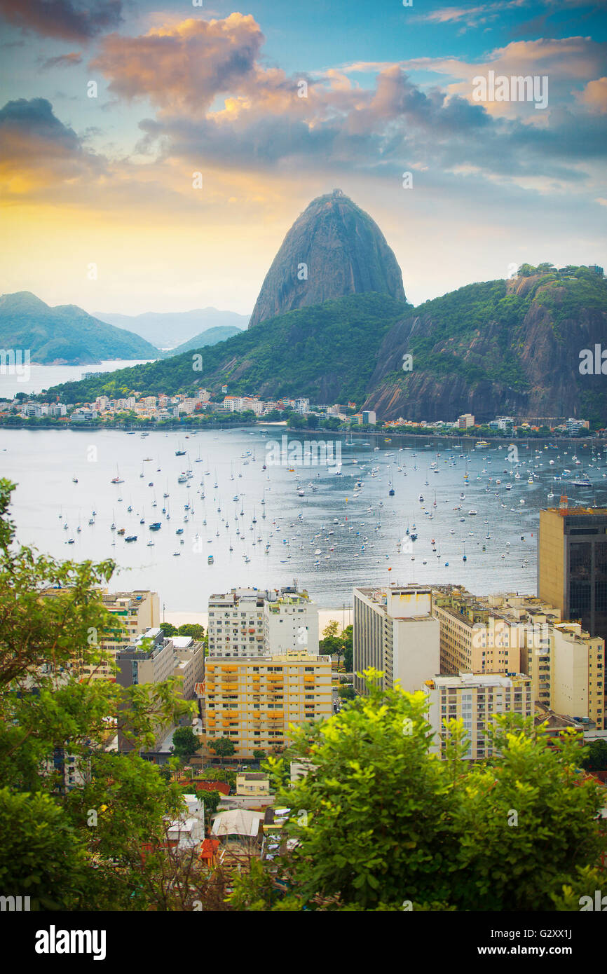 Rio De Janeiro, Brazil in the evening sun light Stock Photo - Alamy