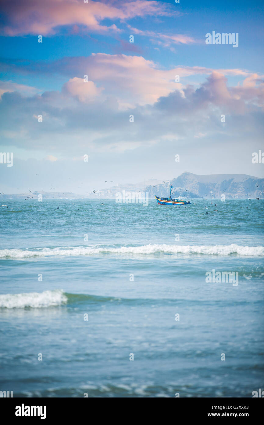 Beautiful ocean animals hi-res stock photography and images - Alamy