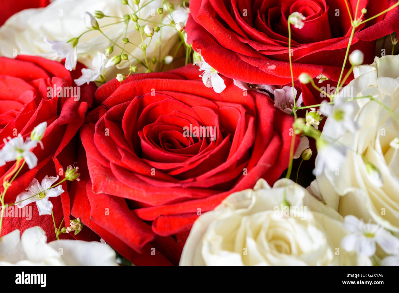 Red And White Roses Wedding Flowers Bouquet Stock Photo - Alamy