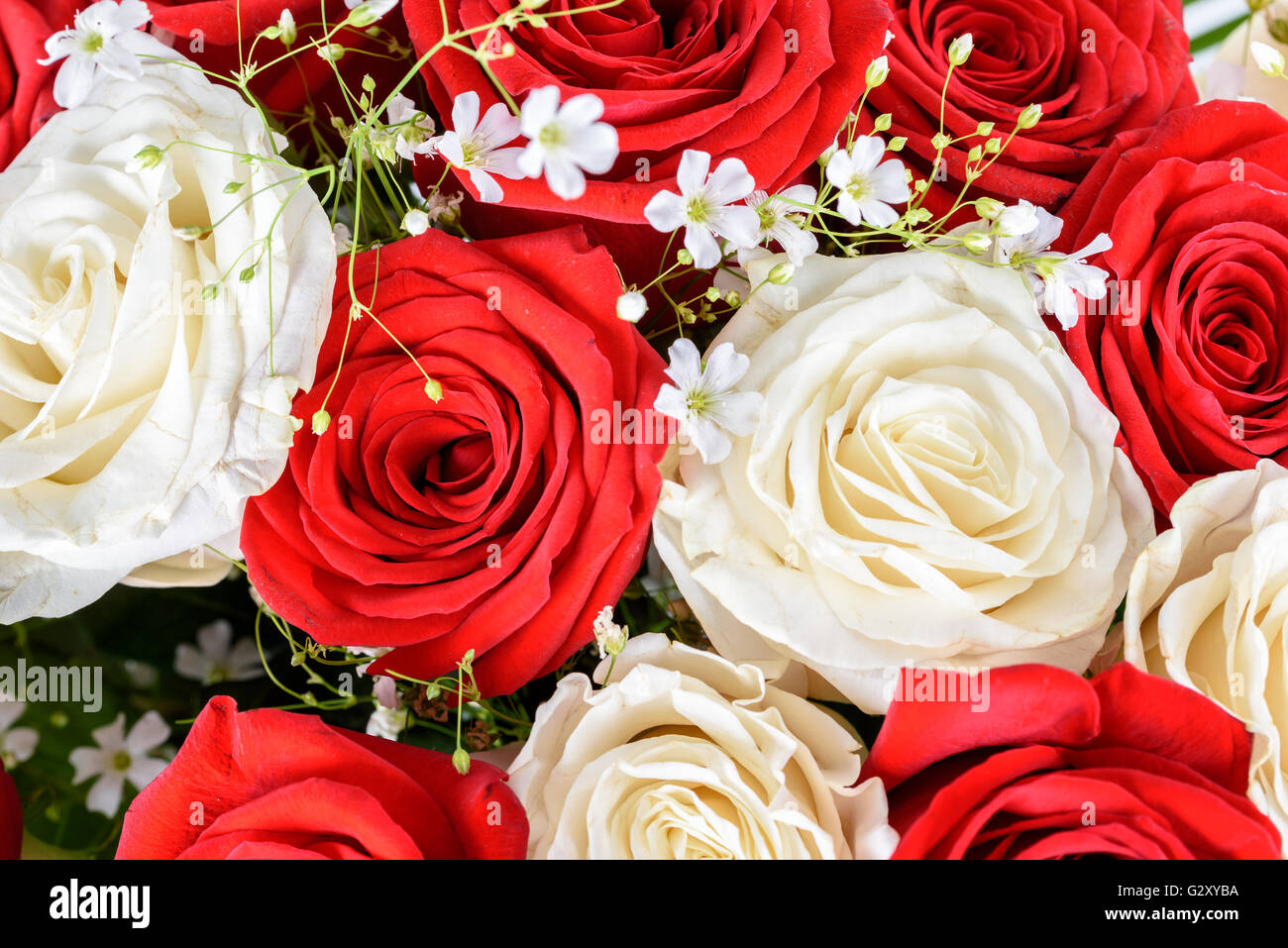 Red And White Roses Wedding Flowers Bouquet Stock Photo - Alamy