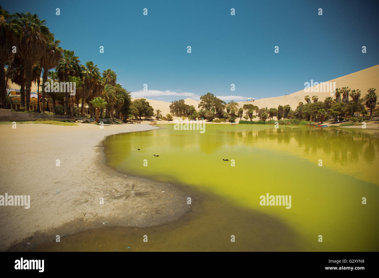 oasis of Huacachina in the desert of Ica, Peru Stock Photo - Alamy