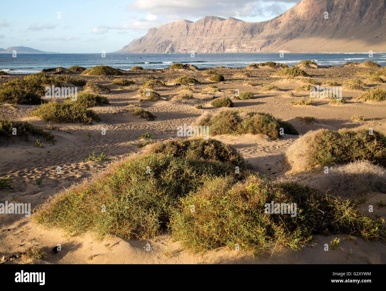 Late afternoon light on beach and cliffs La Caleta de Famara, Lanzarote ...