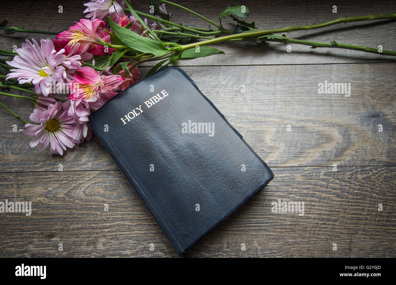Holy Bible Background. Holy Bible on a rustic background with a fresh ...