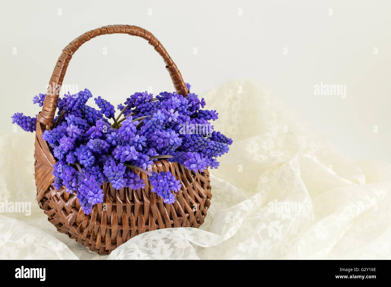 Hyacinth flowers in a wicker basket. Romantic present Stock Photo - Alamy