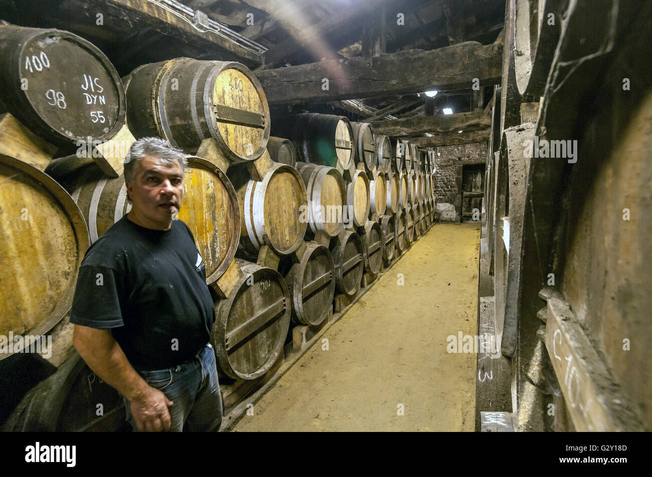Inside the cellar of a cognac distillery in the Charente region of ...