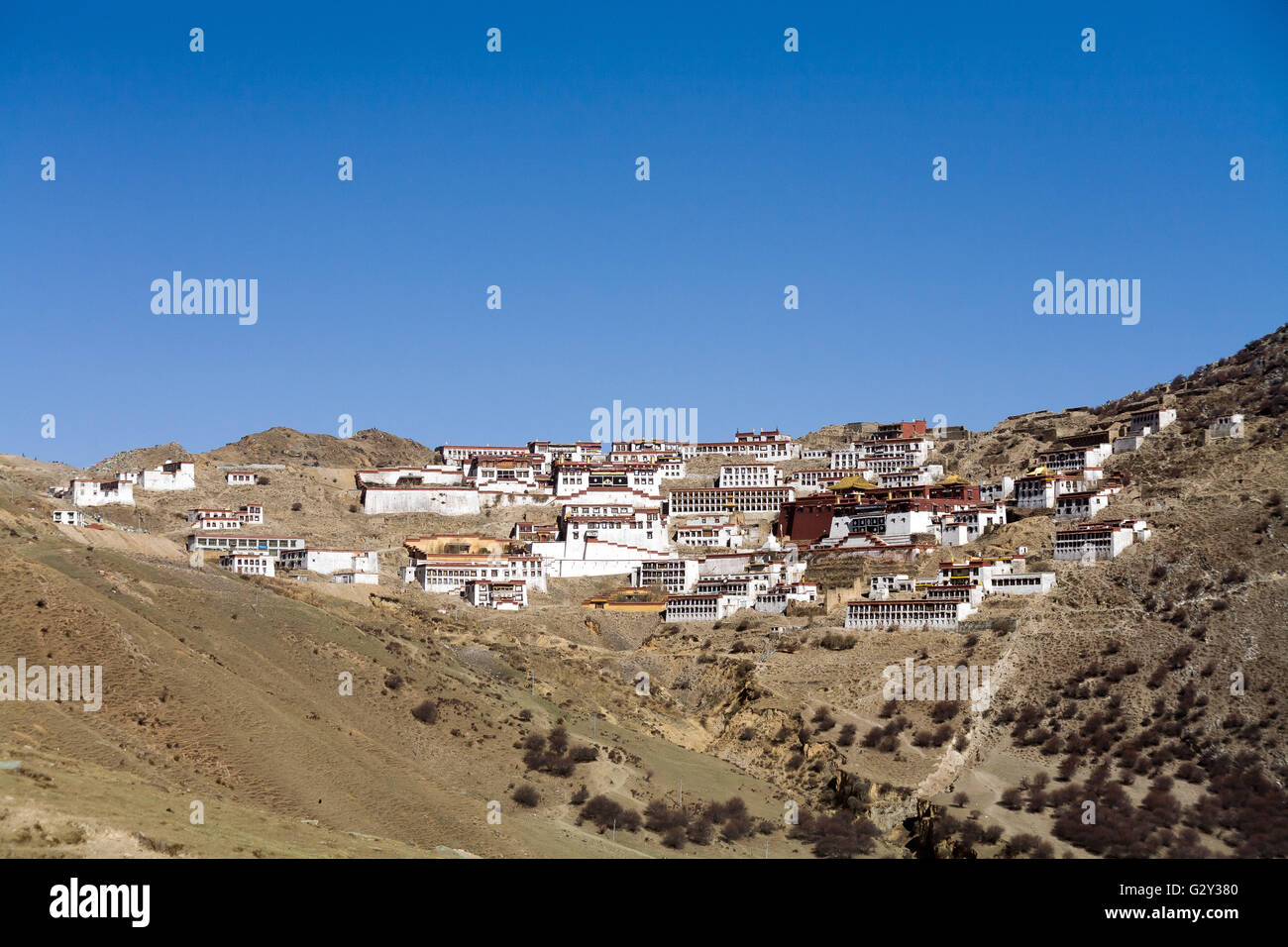View of famous Gandan Monastery, Tibet, China Stock Photo - Alamy