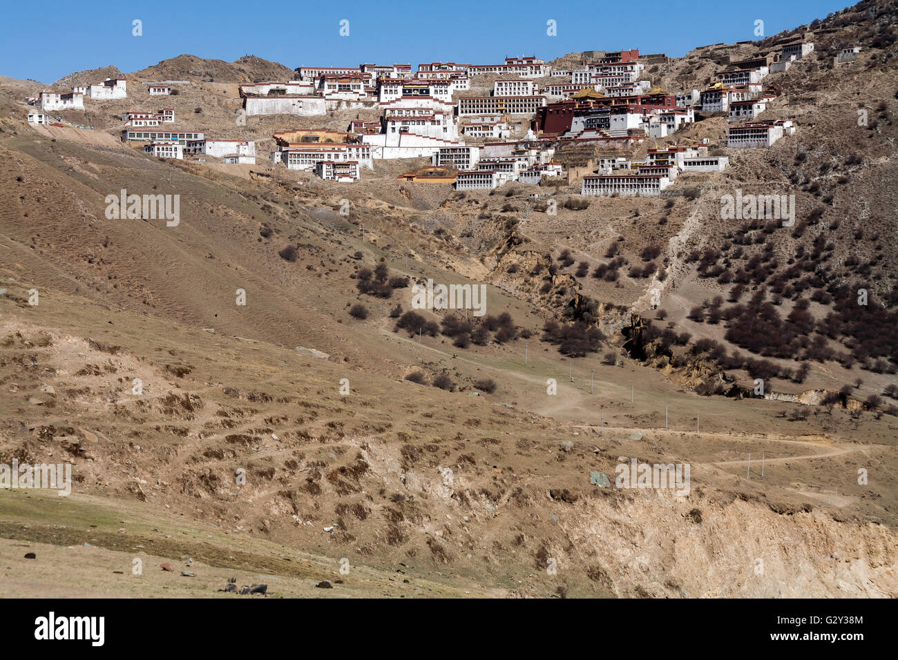View of famous Gandan Monastery, Tibet, China Stock Photo - Alamy