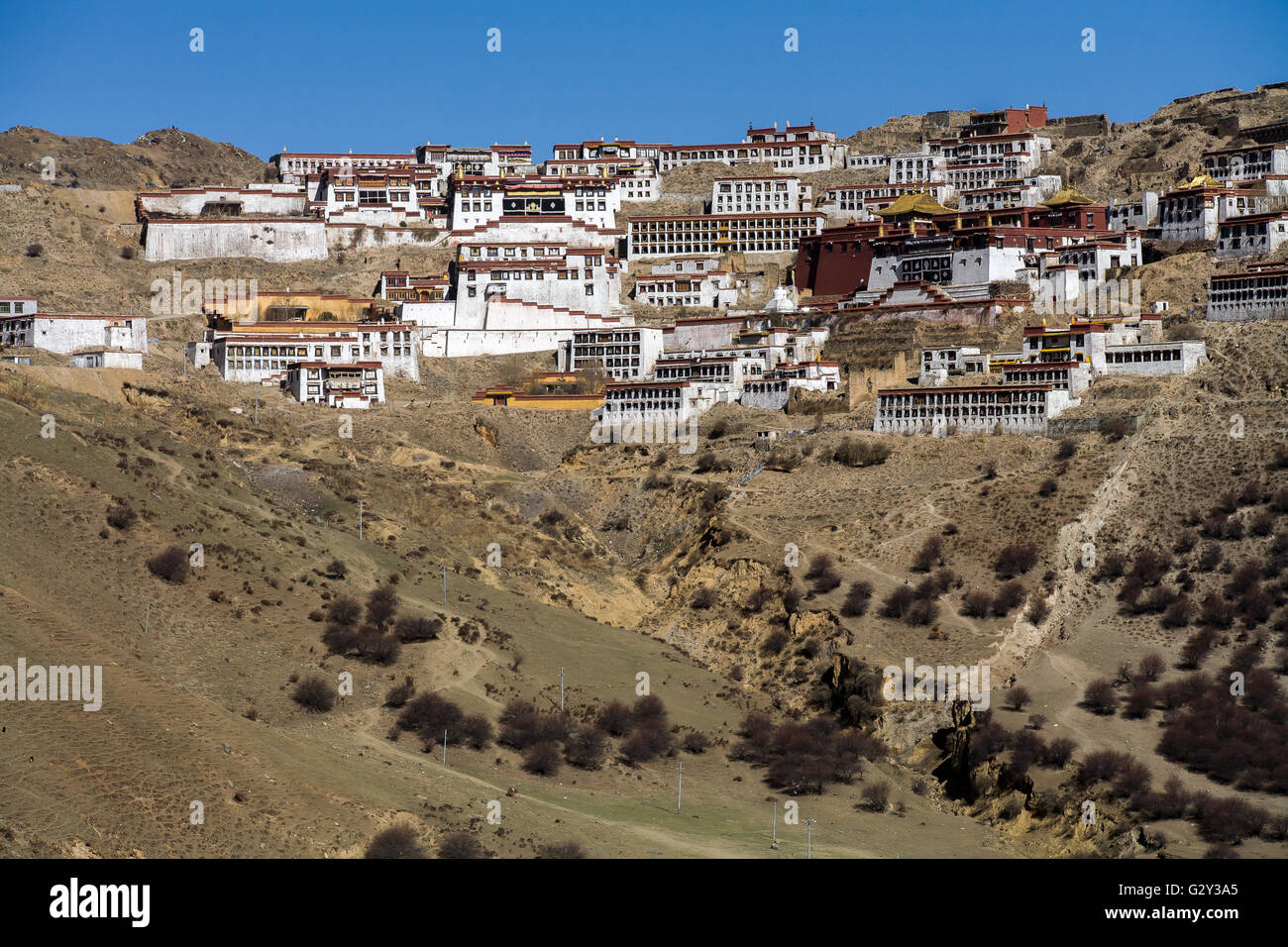 View of famous Gandan Monastery, Tibet, China Stock Photo - Alamy