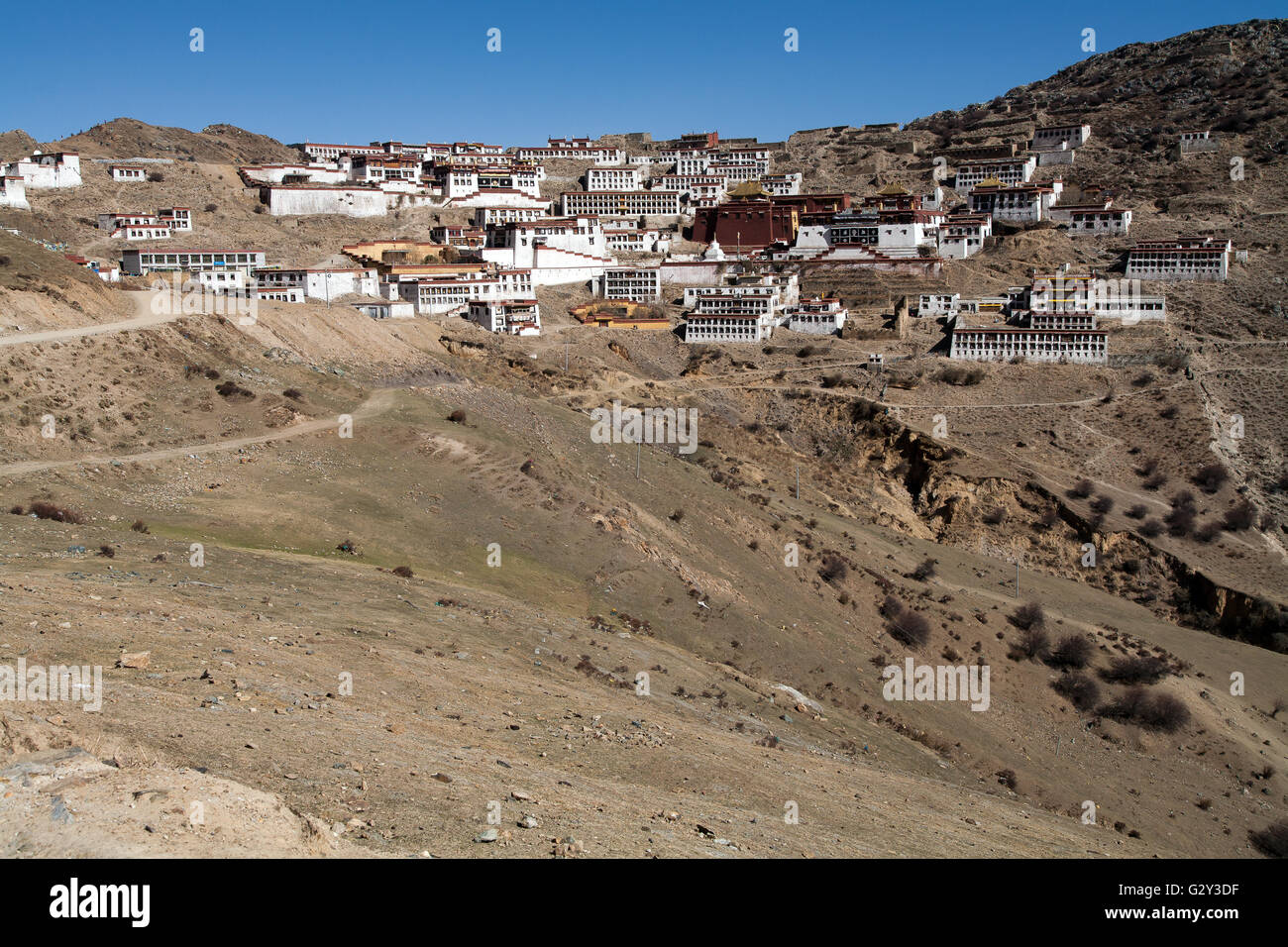 View of famous Gandan Monastery, Tibet, China Stock Photo - Alamy