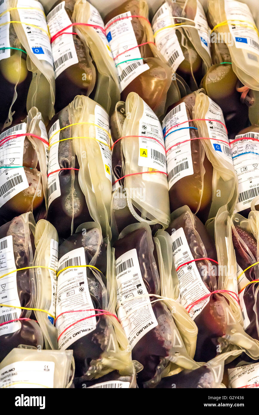 SELANGOR, MALAYSIA - MAY 07, 2016 :Human blood in storage during blood ...