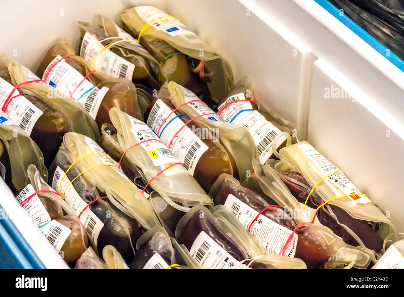 SELANGOR, MALAYSIA - MAY 07, 2016 :Human blood in storage during blood ...