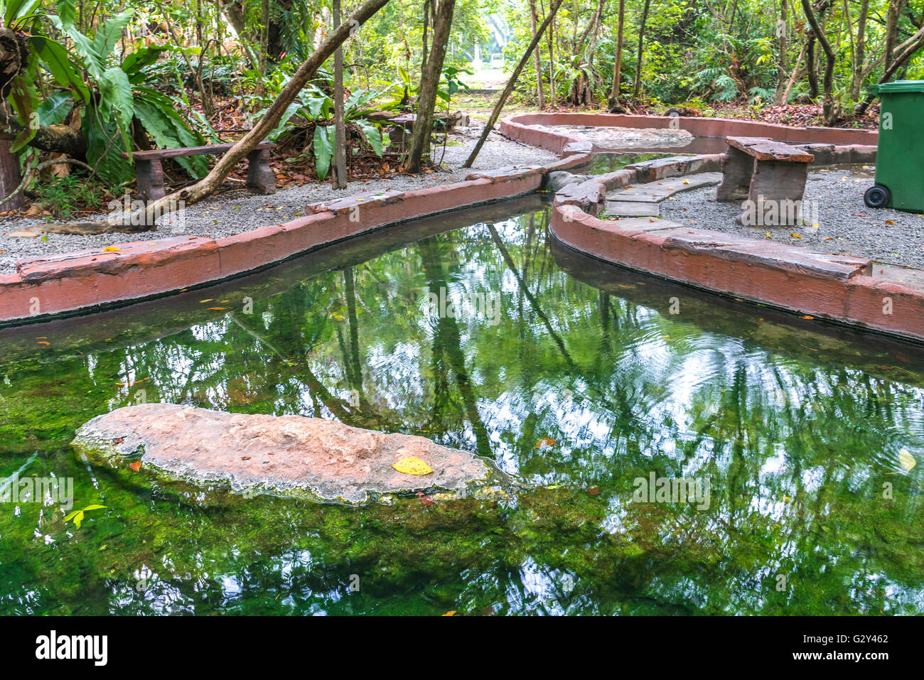 Felda Hot Spring at Sg Klah, Perak, Malaysia Stock Photo - Alamy