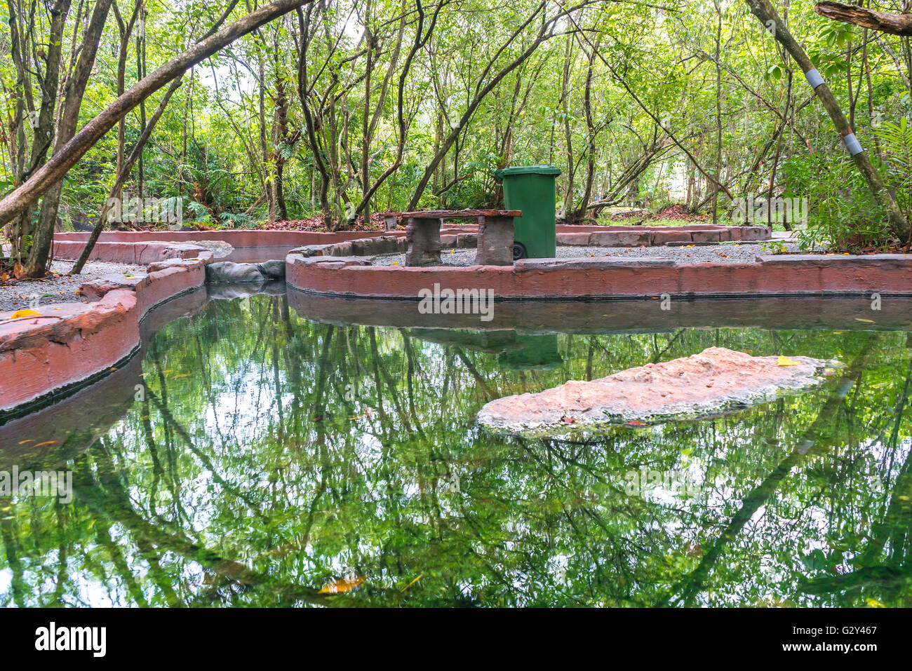 Felda Hot Spring at Sg Klah, Perak, Malaysia Stock Photo - Alamy