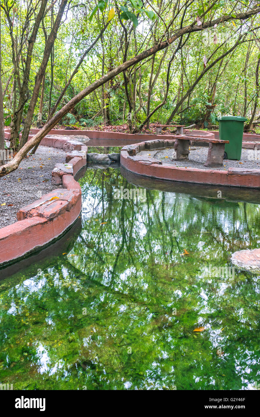 Felda Hot Spring at Sg Klah, Perak, Malaysia Stock Photo - Alamy