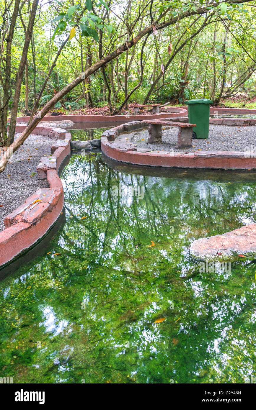 Felda Hot Spring at Sg Klah, Perak, Malaysia Stock Photo - Alamy