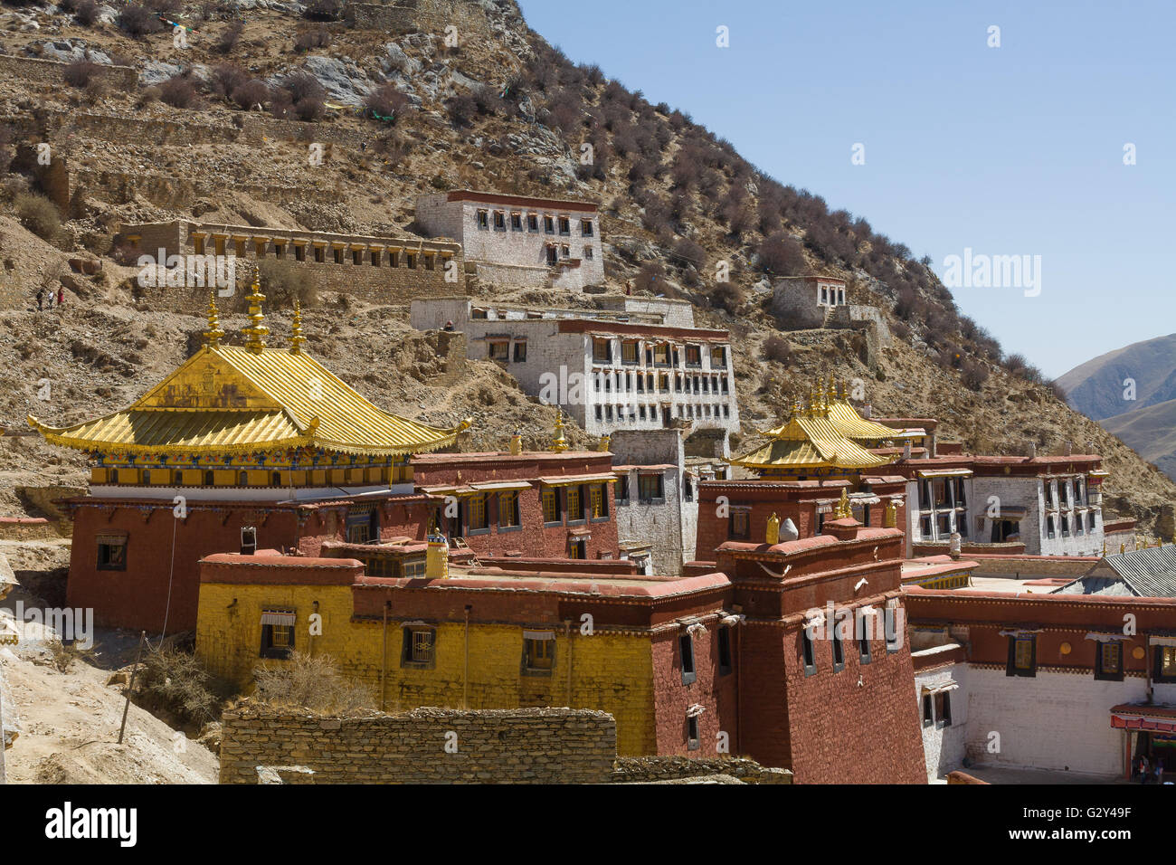 View of famous Gandan Monastery, Tibet, China Stock Photo - Alamy