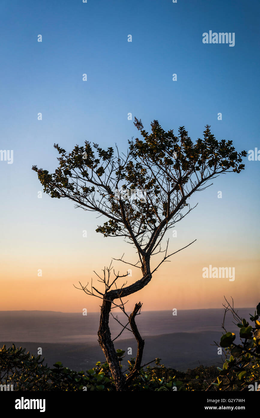 Landscape, Chapada da Diamantina, Brazil Stock Photo - Alamy
