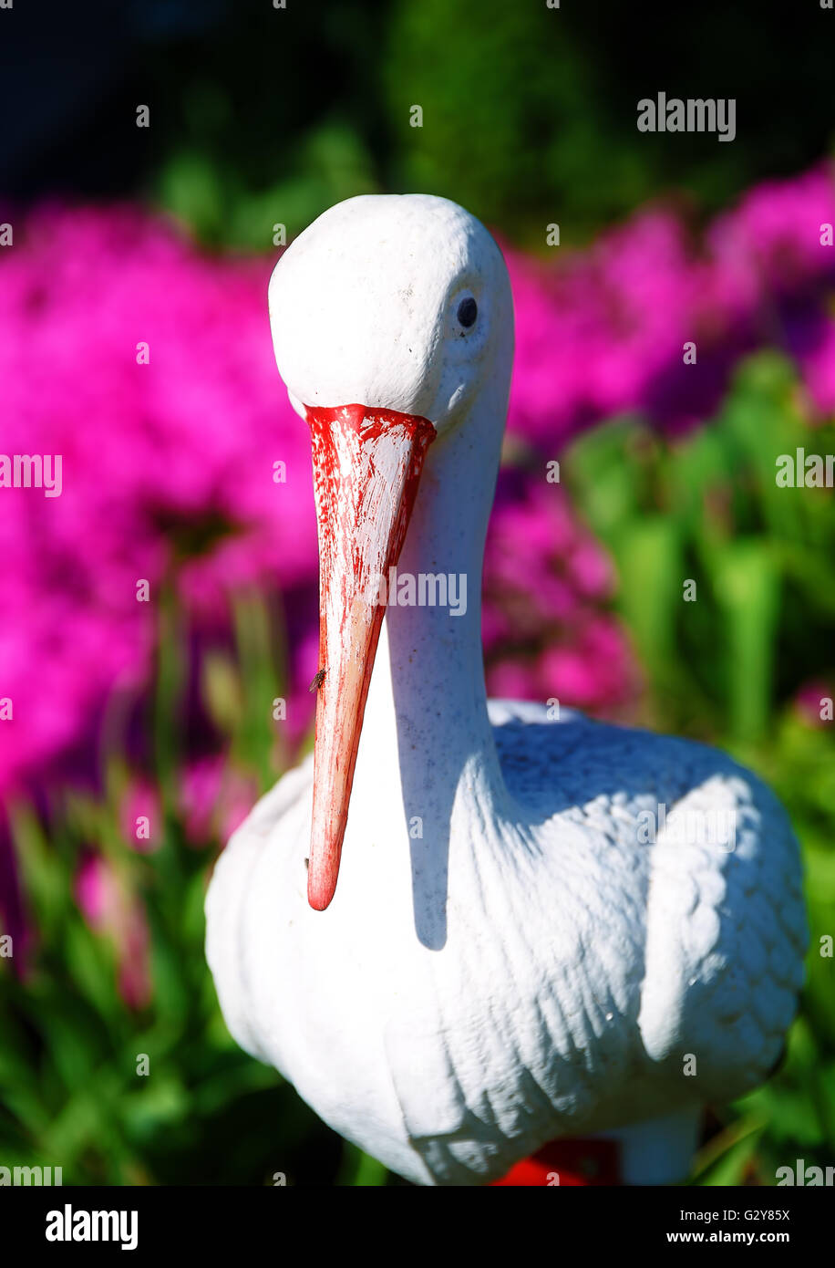 Purple Stork
