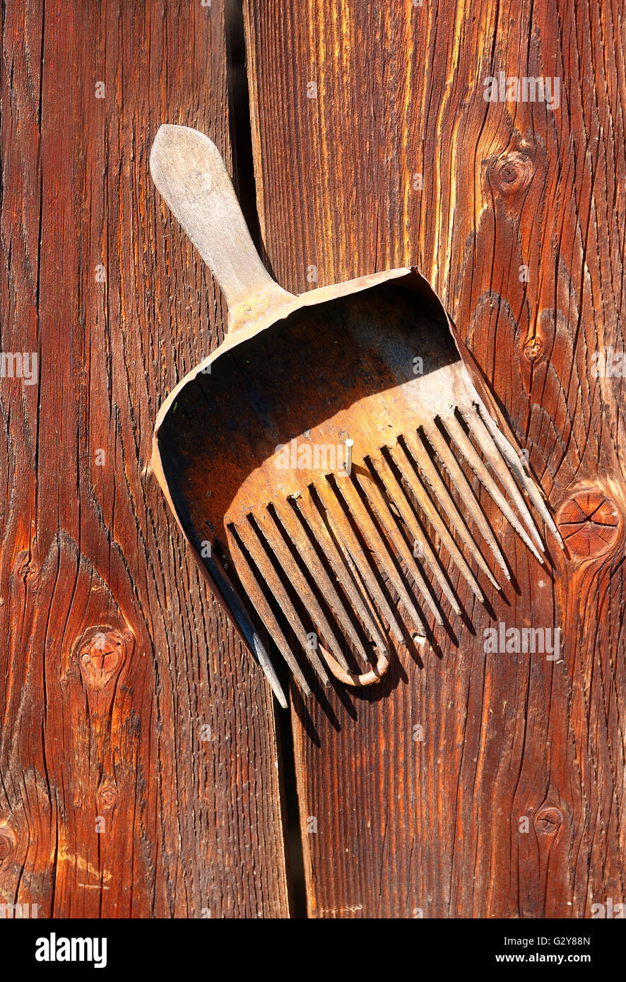 antique old style retro object assemblage on a wooden wall. rustic ...