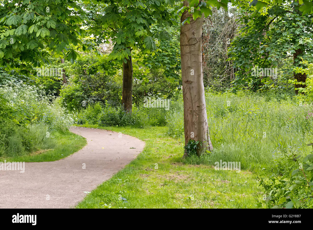 England, Christchuch, Macro, fauna, flora, flowers, botanical gardens ...