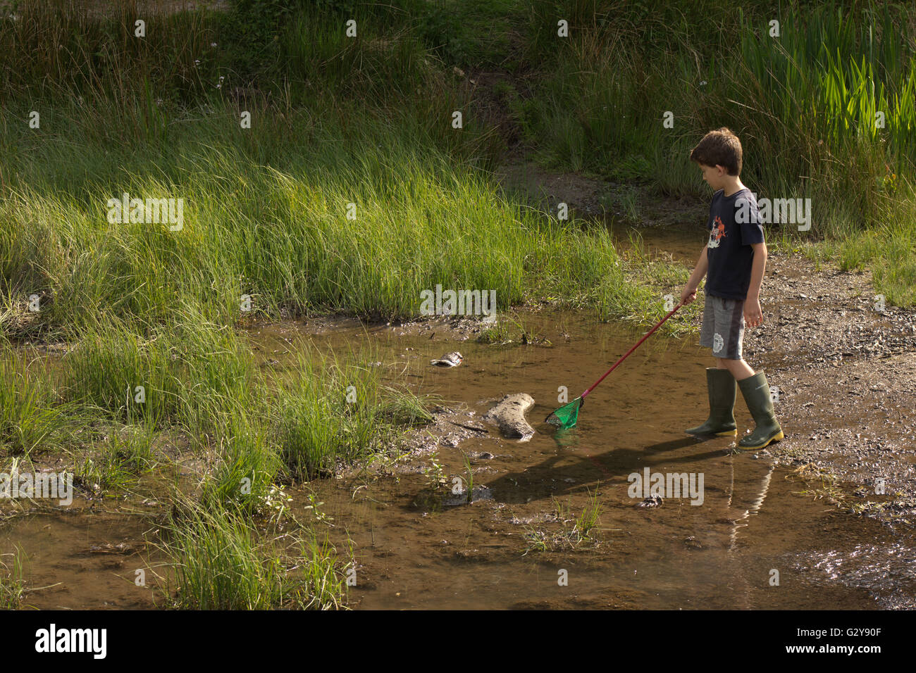 Boy in the net hi-res stock photography and images - Alamy