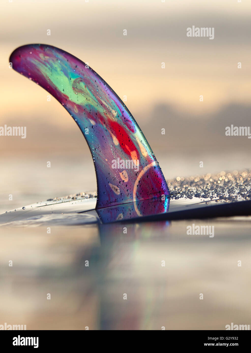 Fin and skeg hi-res stock photography and images - Alamy