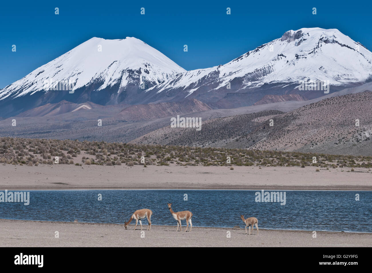Snow capped volcanoes hi-res stock photography and images - Alamy