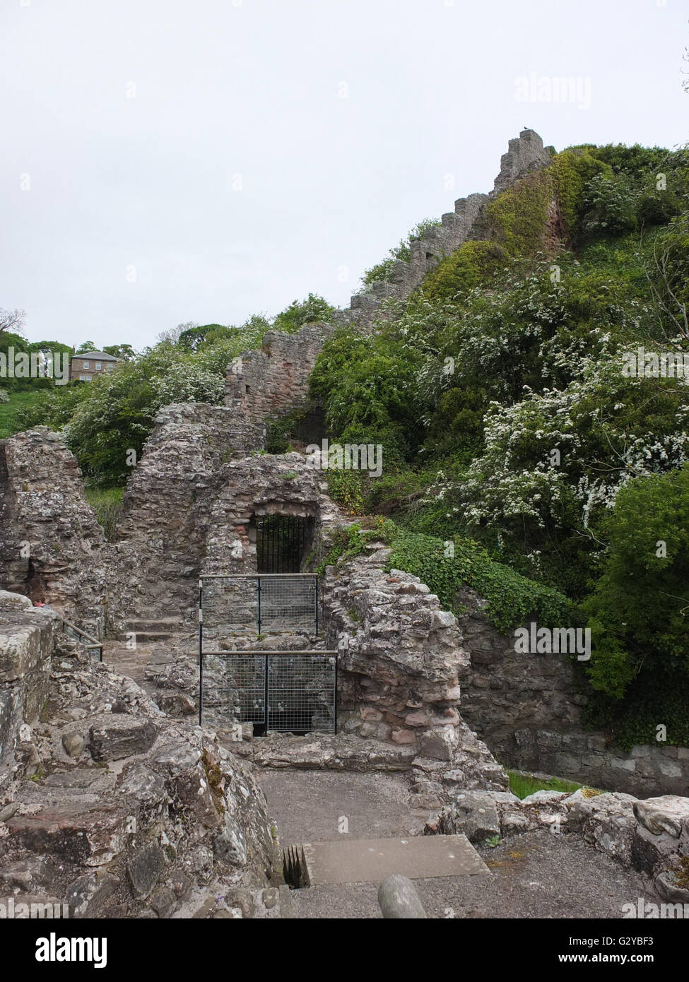 Berwick Castle, Berwick on Tweed, Northumberland Stock Photo - Alamy