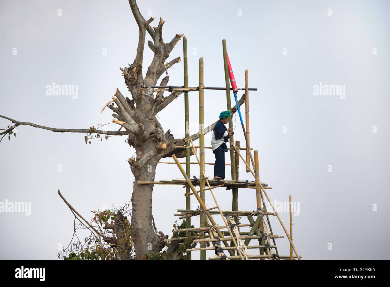 Preparing a bamboo rocket for the flying contest during Pa'O people ...