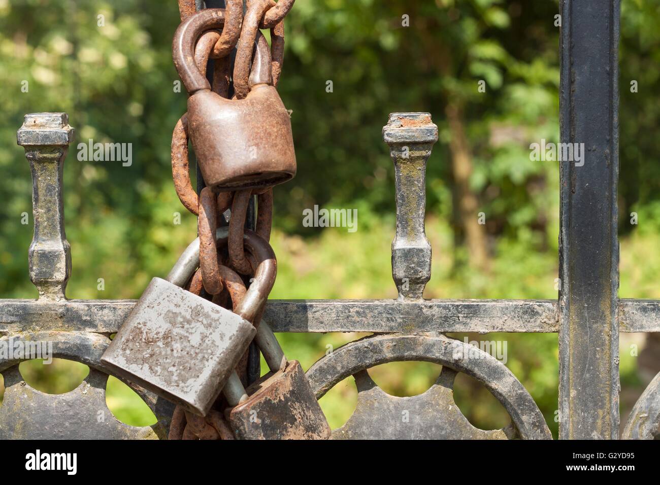 Old rusty lock on a metal gate into the garden. Lock on the iron gate ...