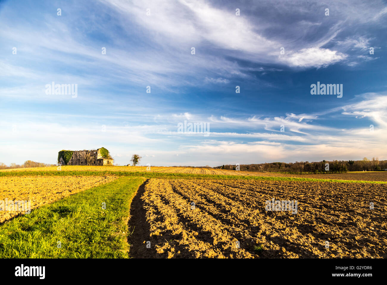 an abandoned and ruined farm in the fields of Italy Stock Photo - Alamy