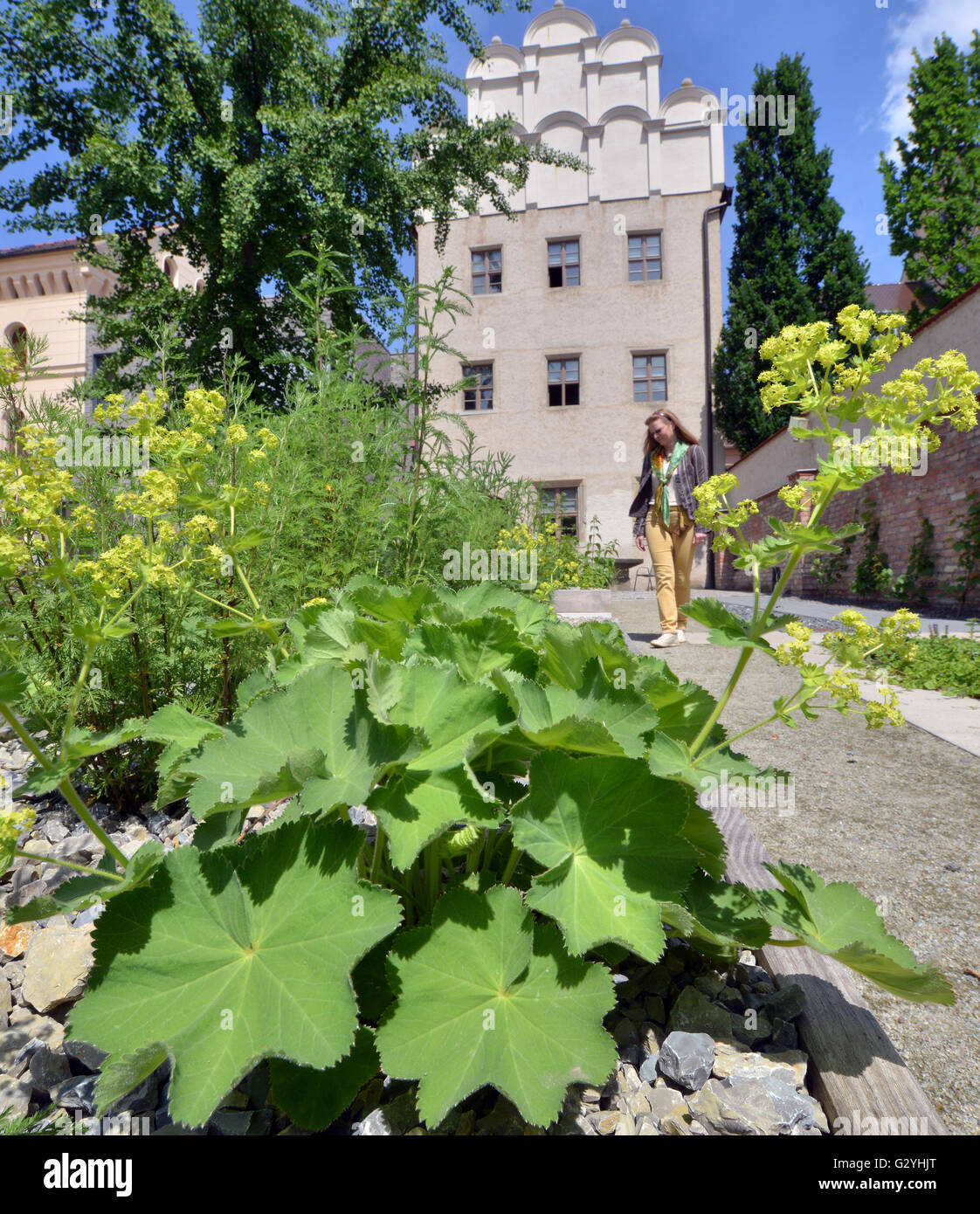 Melanchthonhaus hi-res stock photography and images - Alamy