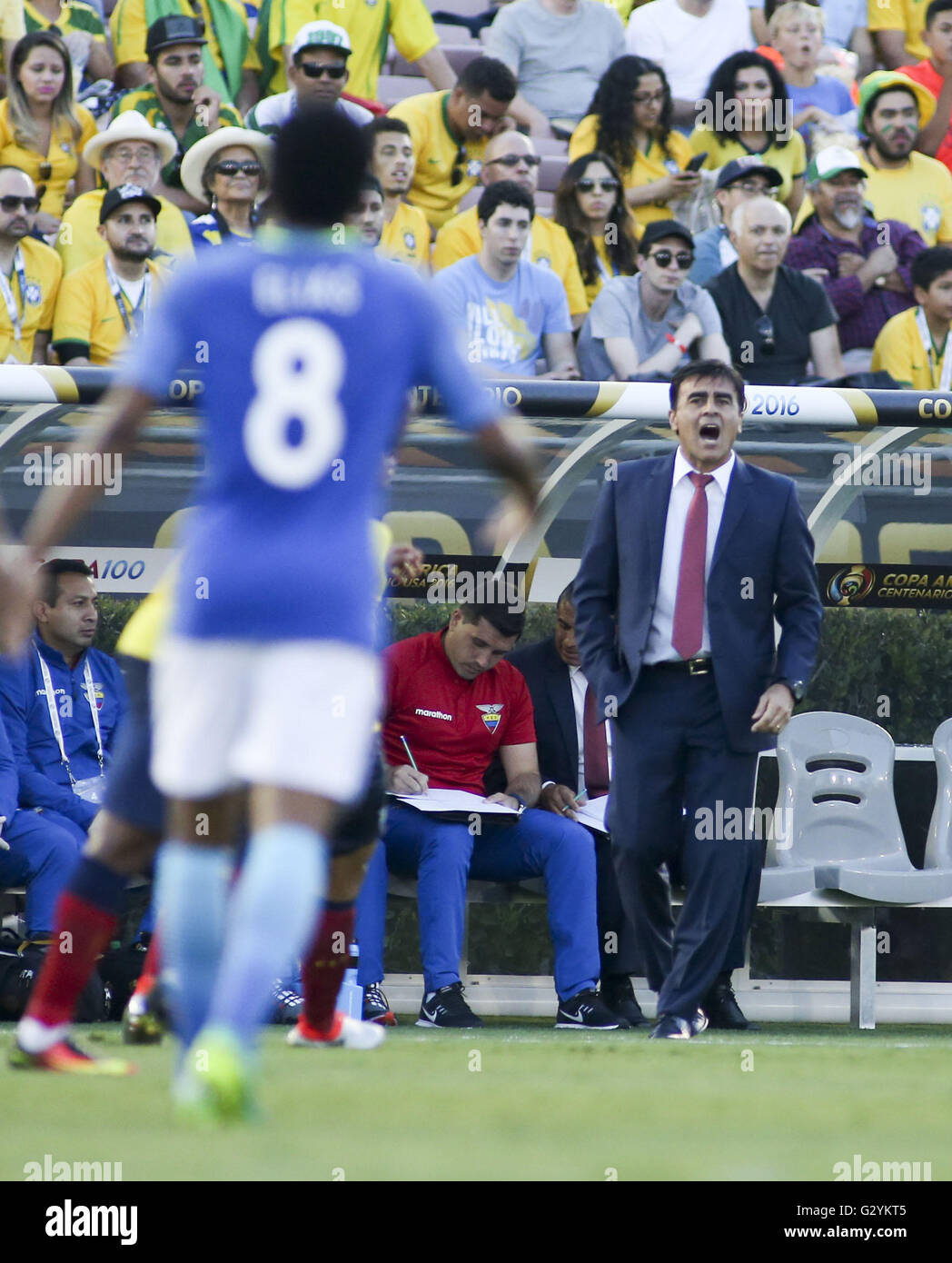 Ecuador Head Coach High Resolution Stock Photography and Images - Alamy