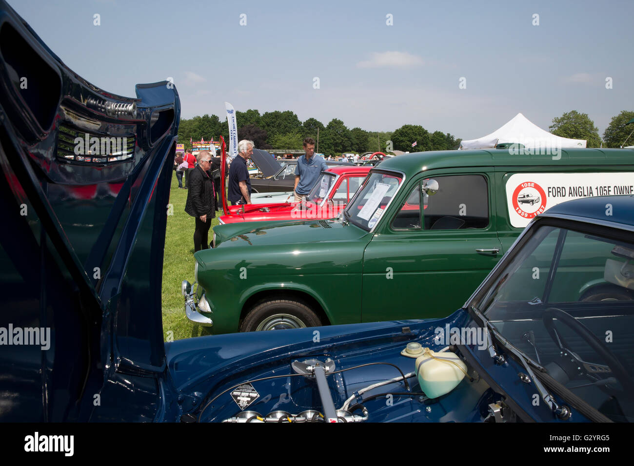 Ford Thames and Ford Anglias on display at the Classic Car show 2016 in ...