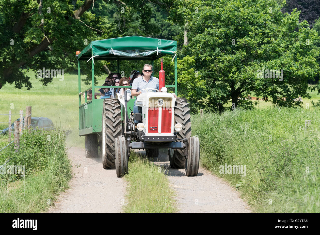 Pierrepont Farm Frensham Surrey UK 5th June 2016. Visitors enjoy a ...