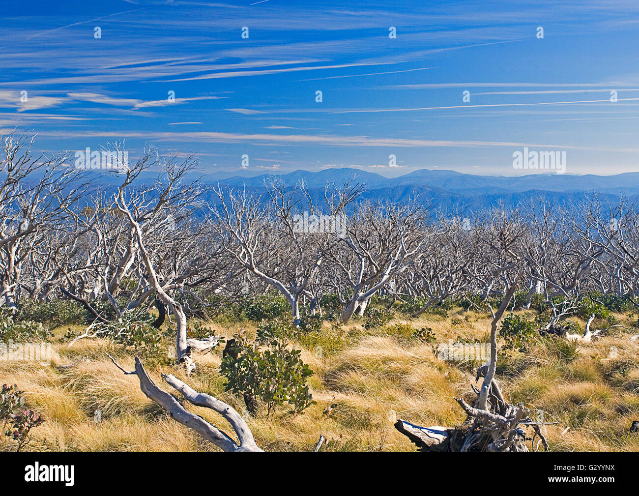High Country, Victoria, Australia Stock Photo - Alamy
